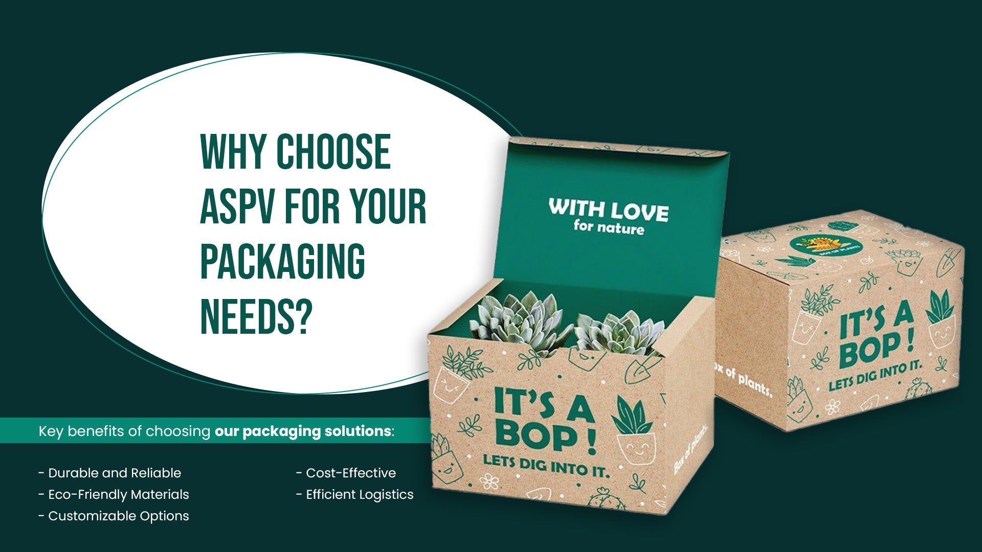 Why Choose ASPV for Your Packaging Needs?